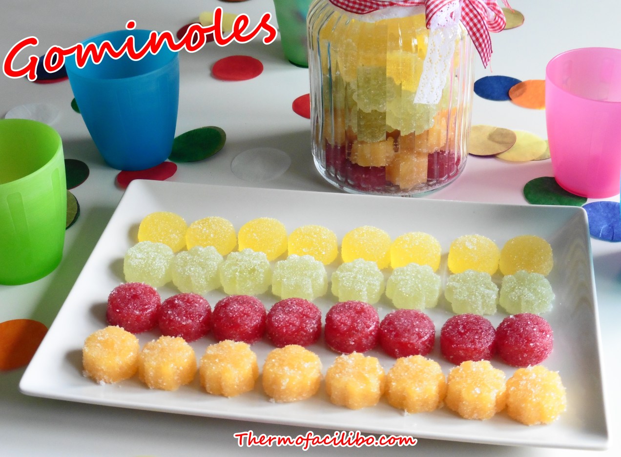 Gominoles casolanes – THERMOFACILIBO