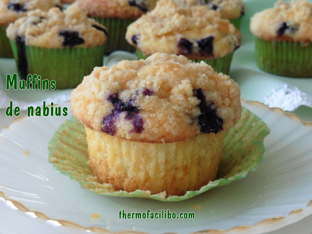 Muffins de nabius (Blueberry Muffins) – THERMOFACILIBO