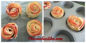 Roses de pasta de full i poma – THERMOFACILIBO