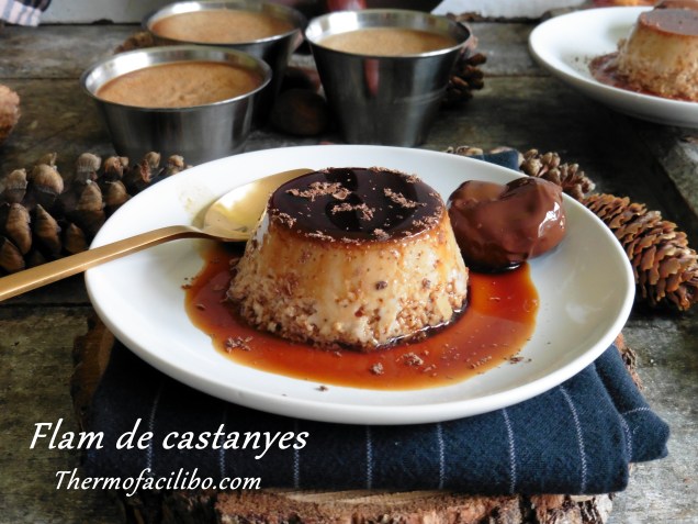 Flam de castanyes – THERMOFACILIBO