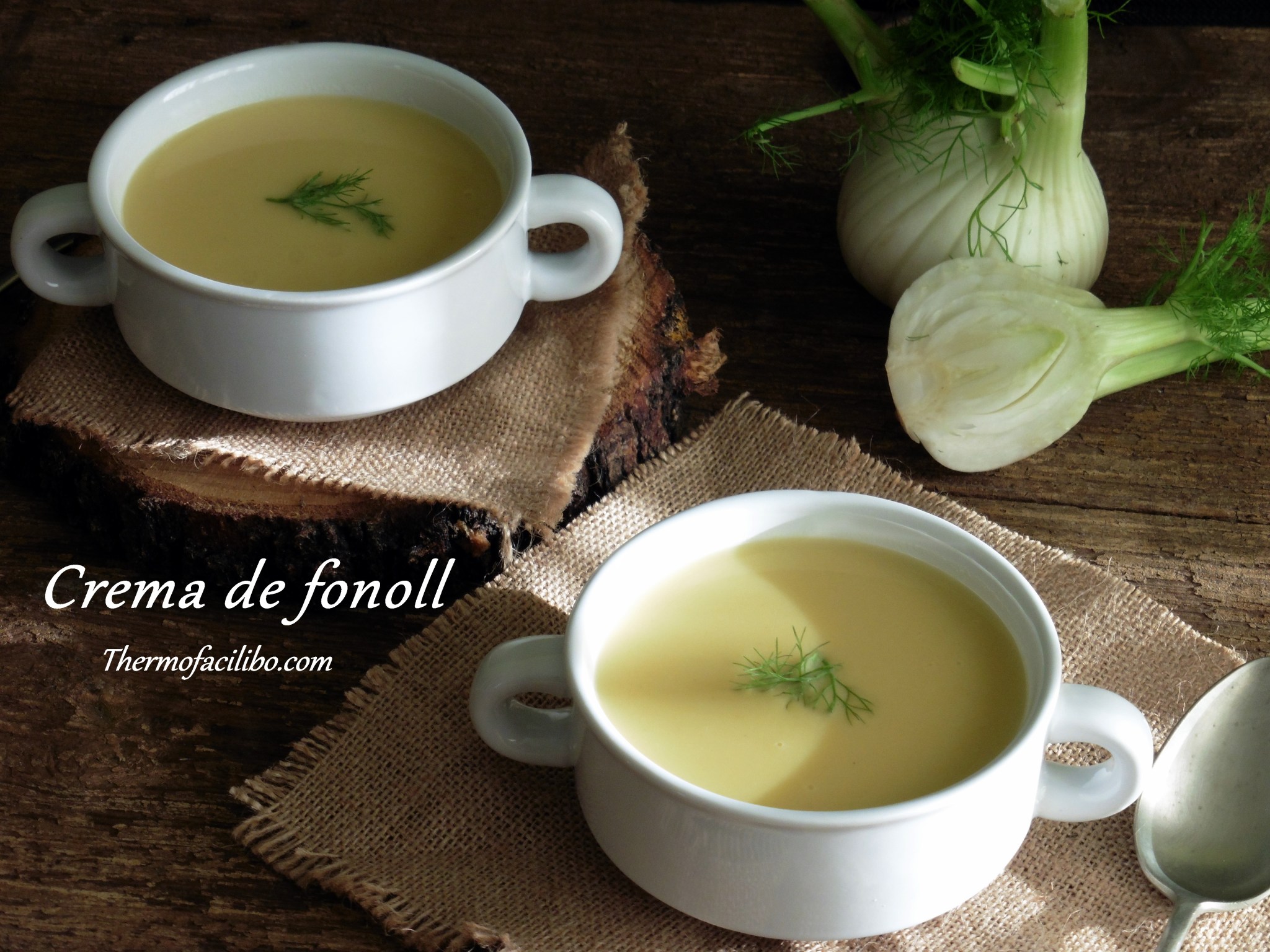 Crema de fonoll – THERMOFACILIBO
